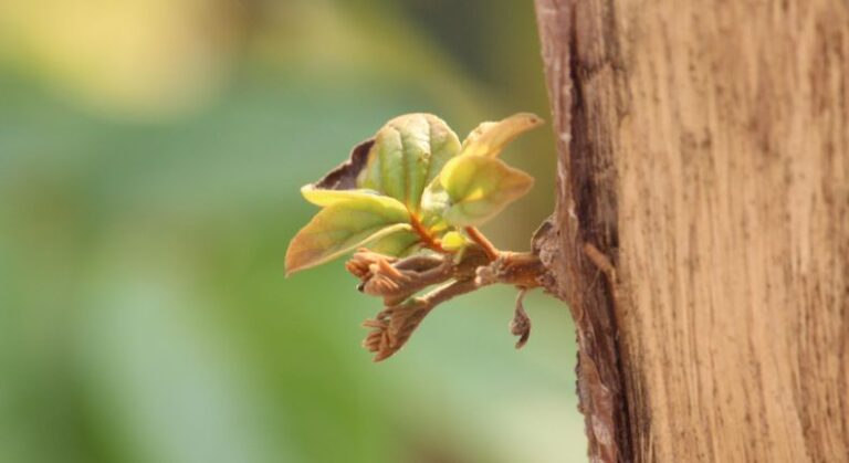 Wechsel der Behörde - eStellen